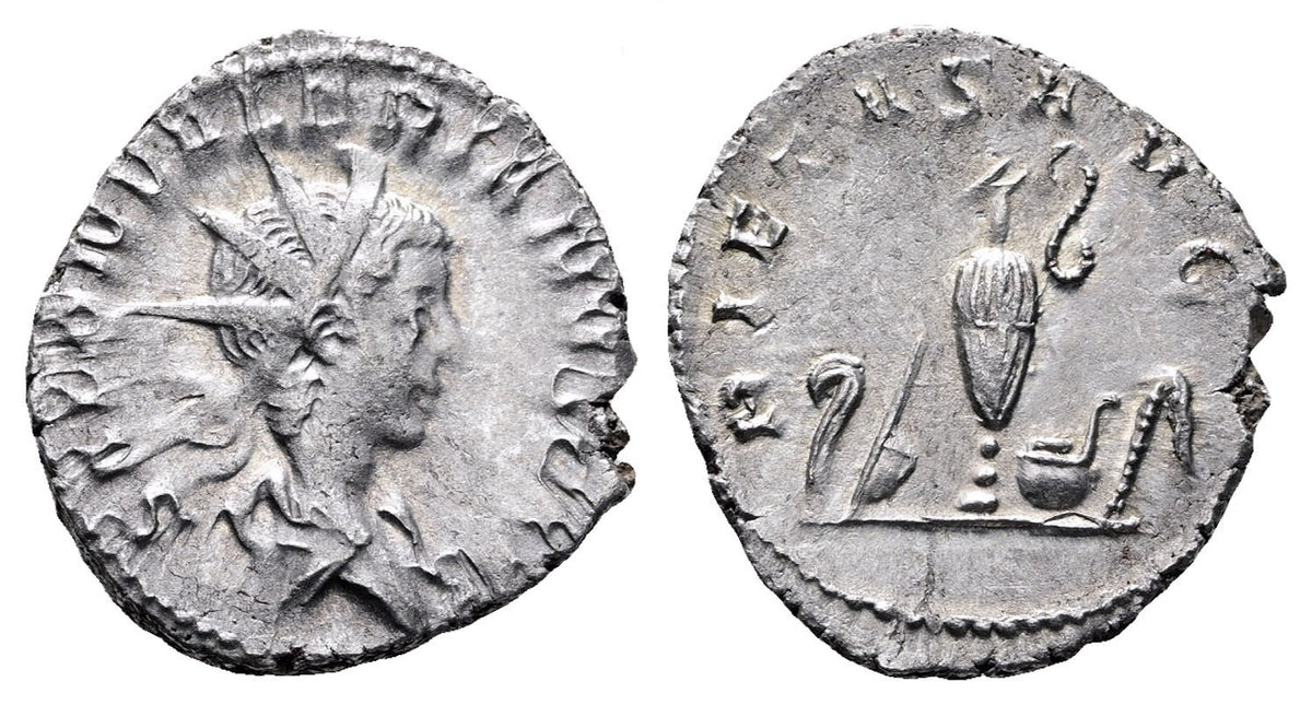 Roman silver coin of Saloninus - Sacrificial Implements – Cerberus ...