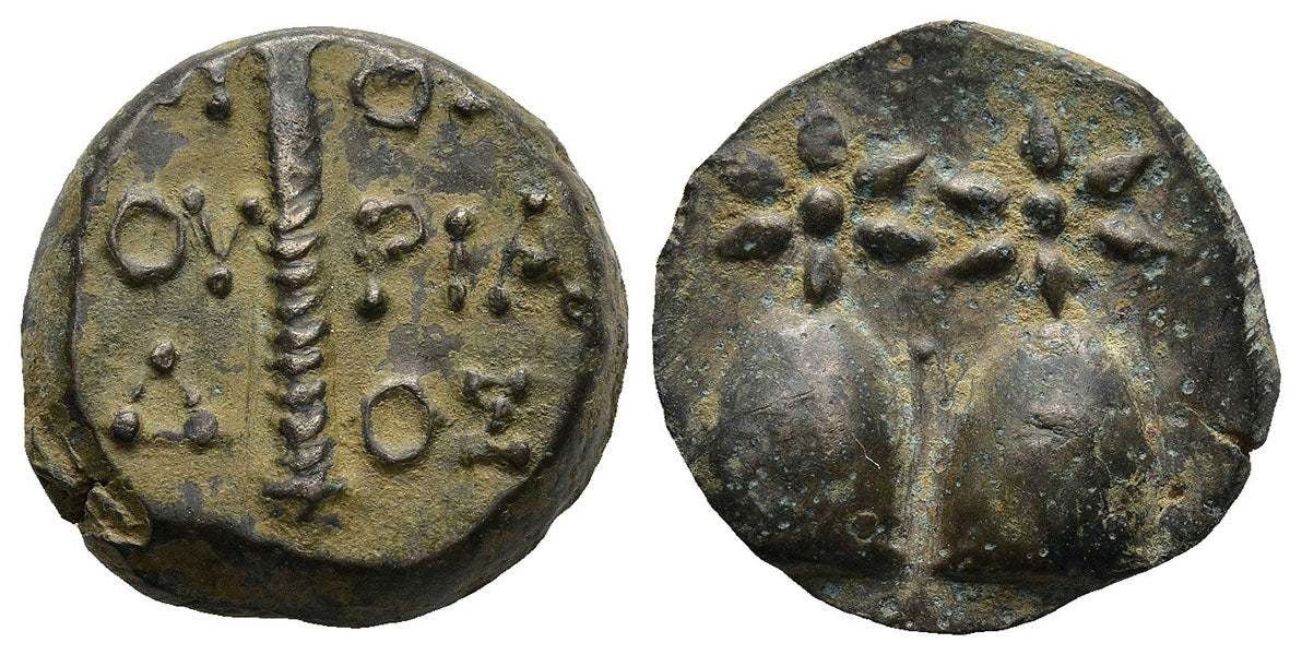 Ancient Greek coin from Colchis - Time of Mithradates VI Eupator (Circ ...