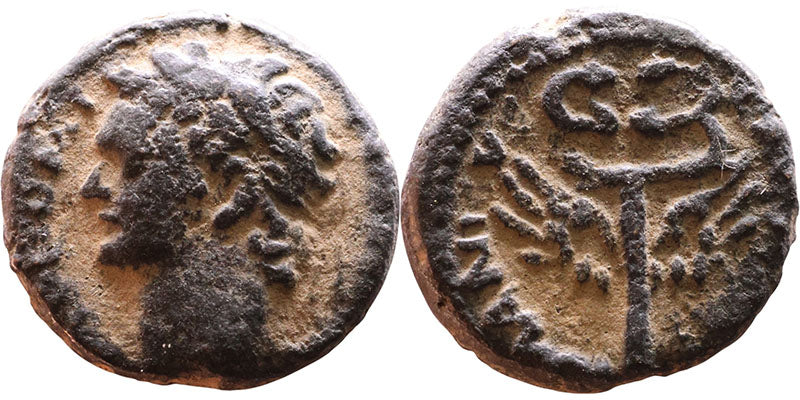 Roman Provincial coin of Domitian - Winged Caduceus – Cerberus Ancient ...