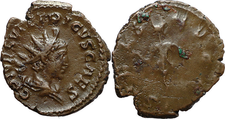 Ancient Roman coin of Tetricus II as Caesar - SPES AVGG – Cerberus ...