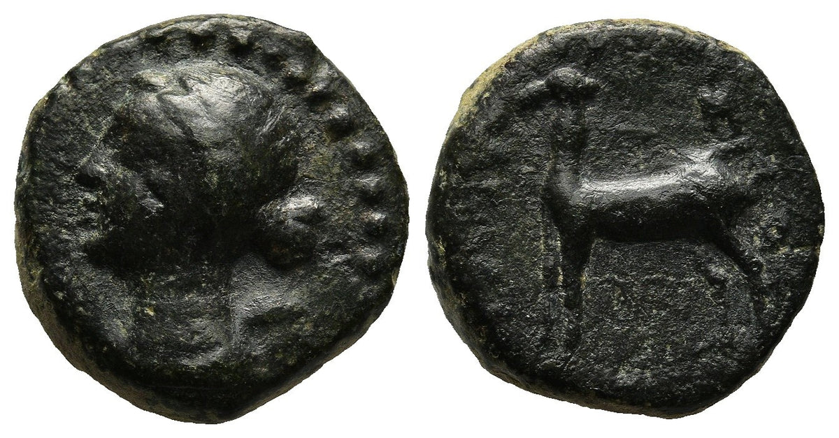 Ancient coin of Ariarathes X Eusebes Philadelphos 42-36 BC - King of C ...